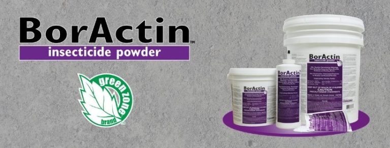 Using BorActin Boric Acid for Drain Flies & Forid Flies | Complete Guide